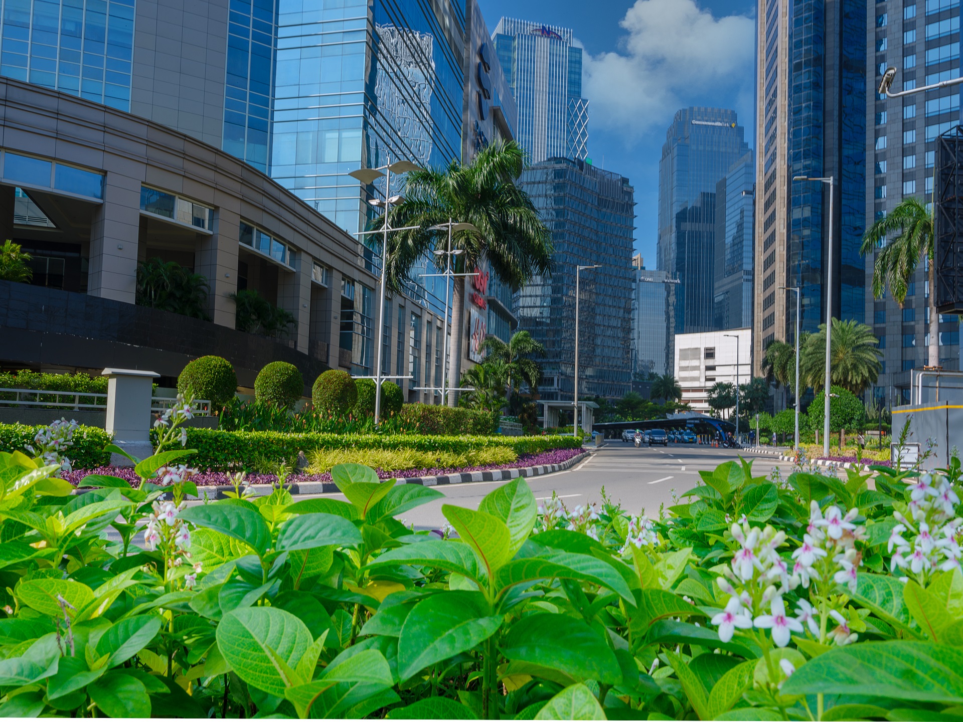 SCBD - Kawasan Bisnis CBD Indonesia | Gallery